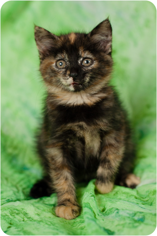 di 152 — Postimages