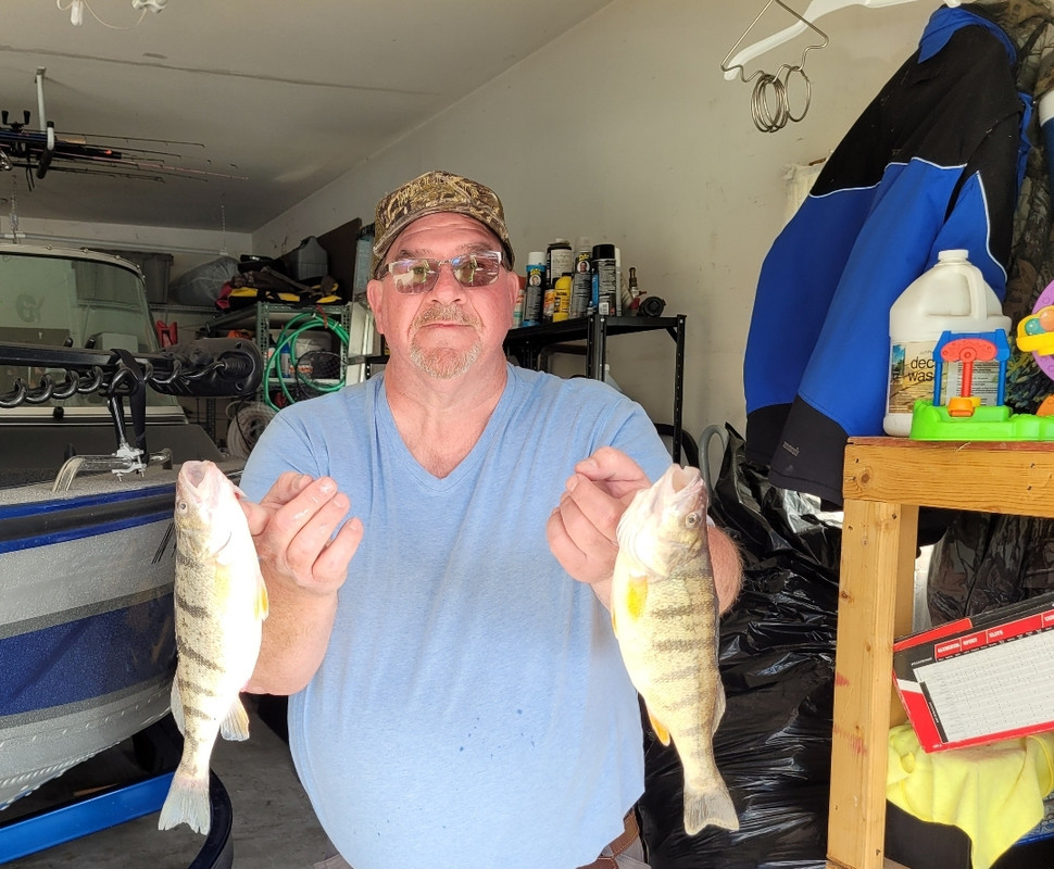 Screenshot 20230414 153753 Messages — Postimages