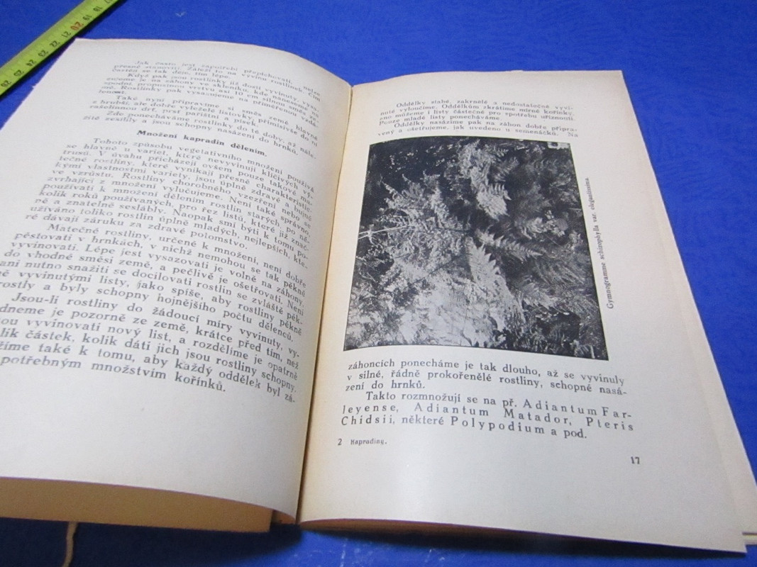 IMG 1683 — Postimages