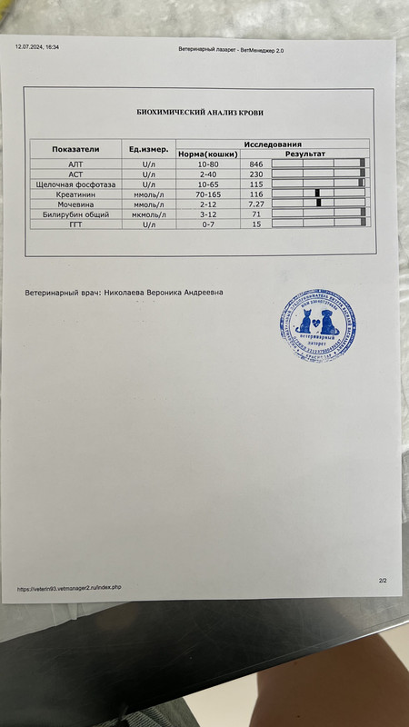 IMG 1358 — Postimages