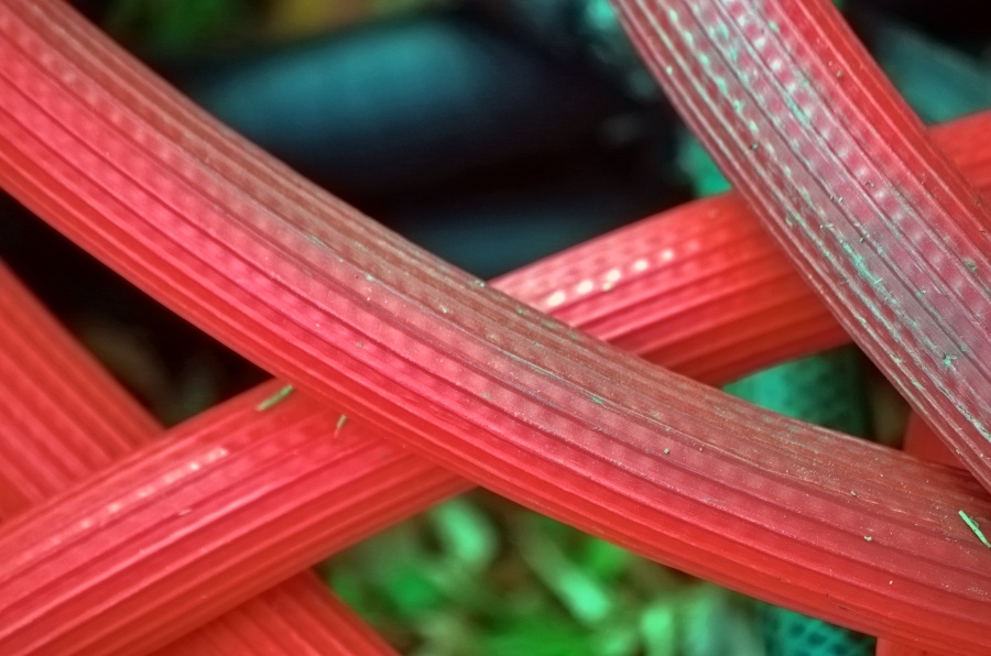 Seeing Red! - Page 15 - PentaxForums.com