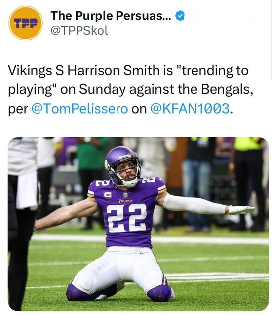 Week 3: VIKINGS (1-1) vs Bengals (2-0) - Page 6 - Minnesota Vikings ...