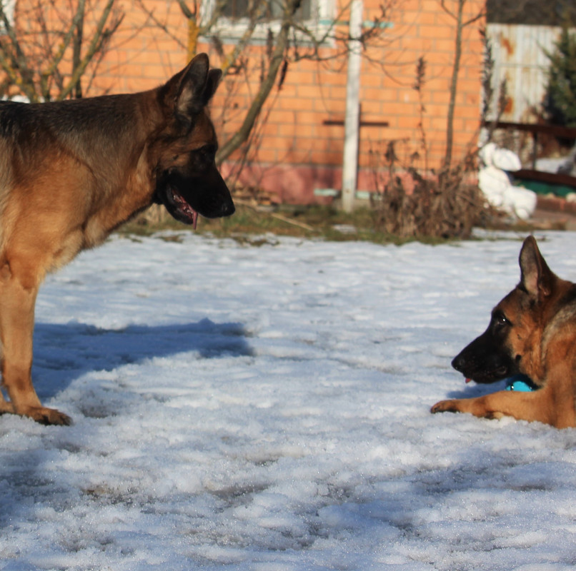 IMG 4084 — Postimages