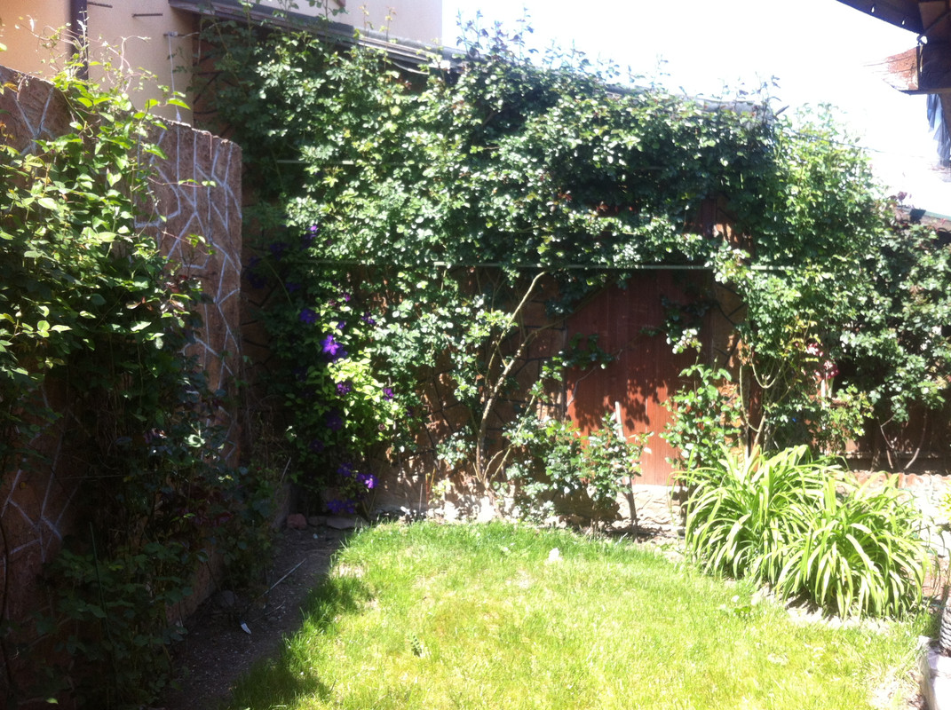 IMG 7356 — Postimages