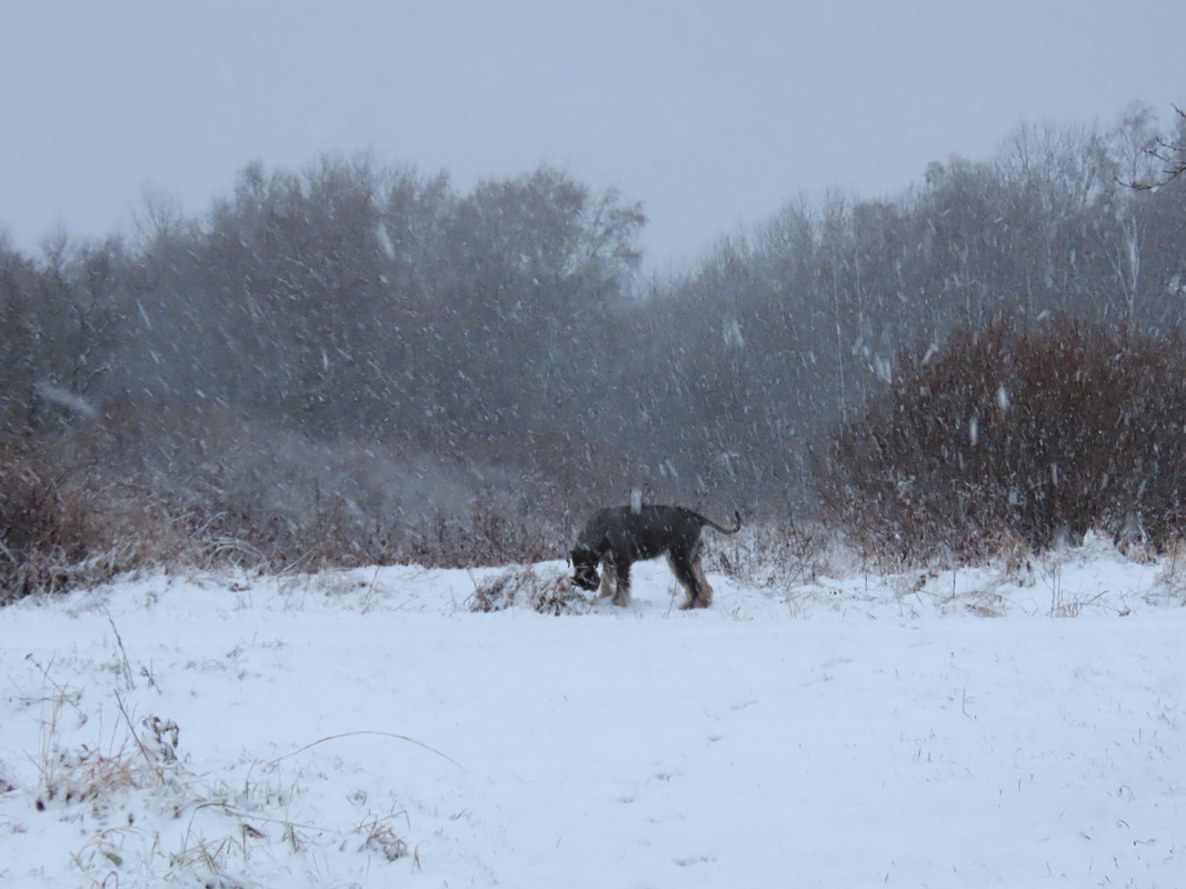 IMG 7431 — Postimages