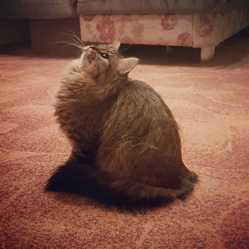 1zdh PNMNhk E — Postimages