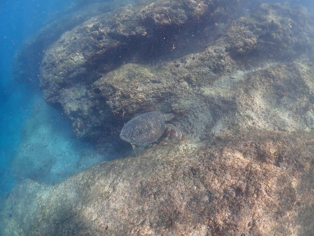 PB265091 — Postimages