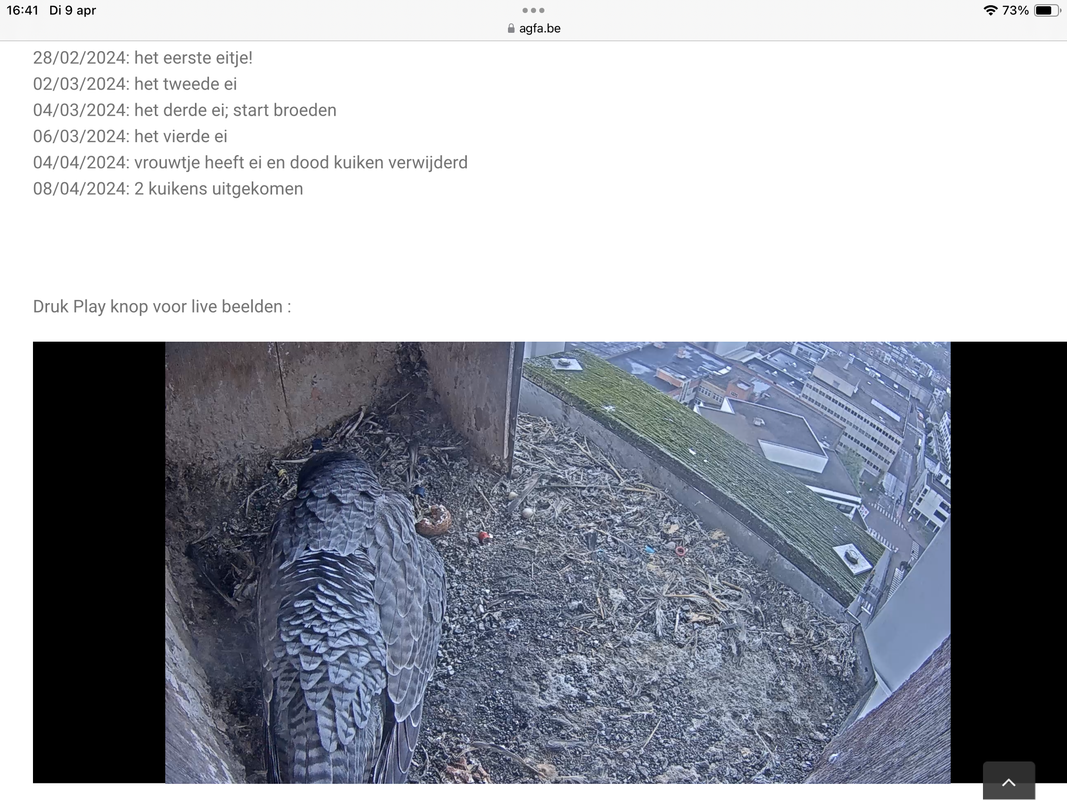 IMG 9982 — Postimages