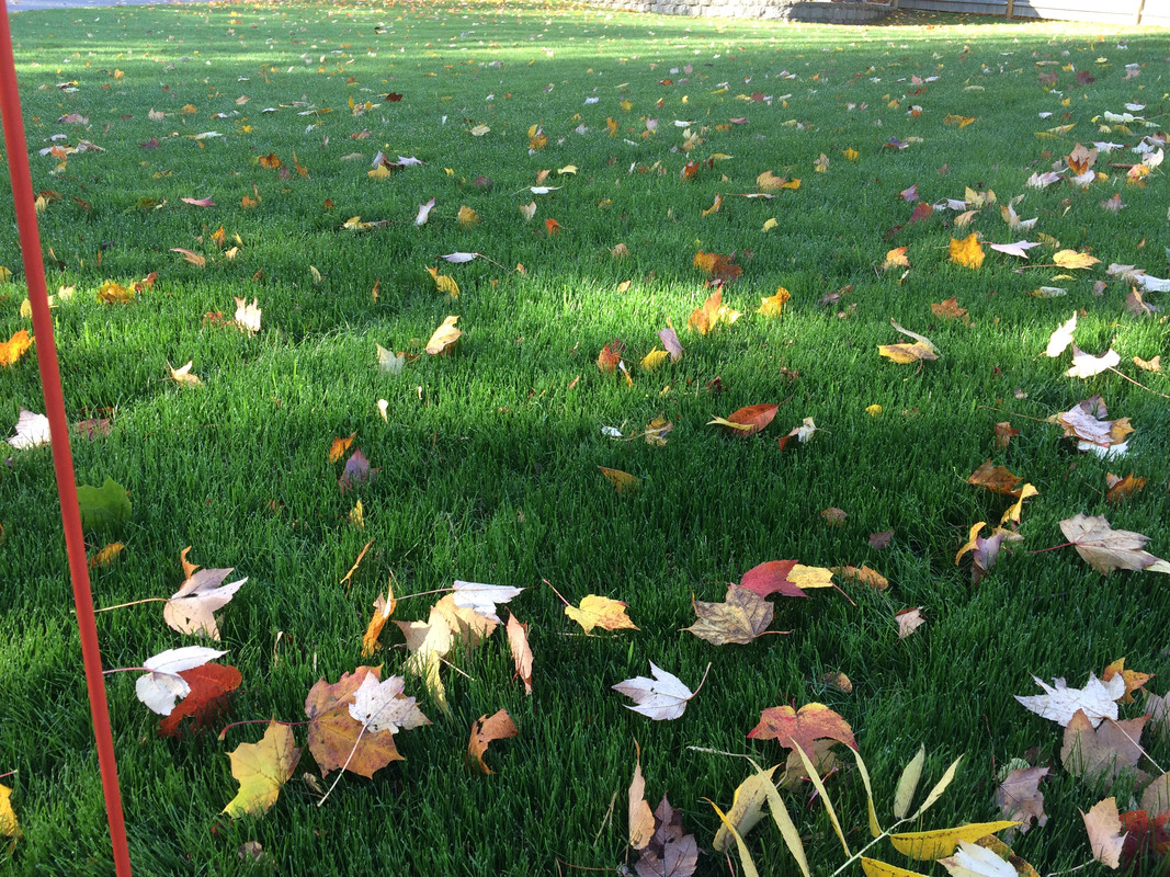 IMG 1587 — Postimages