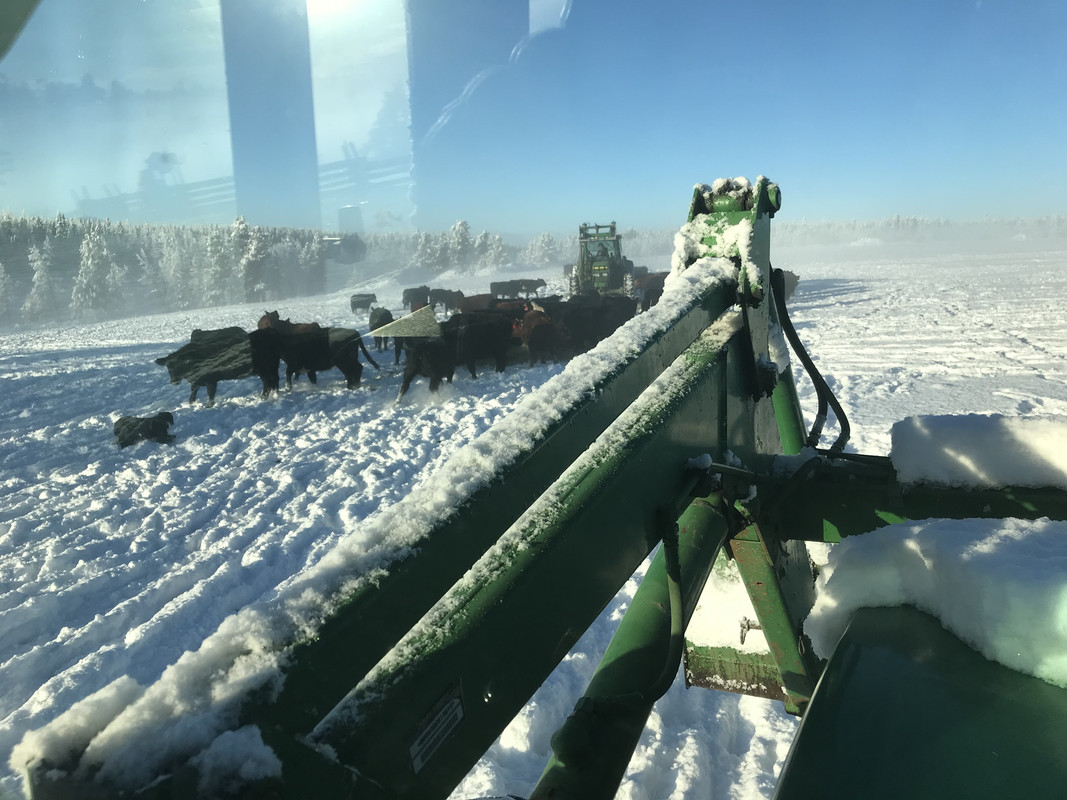 IMG 0737 — Postimages