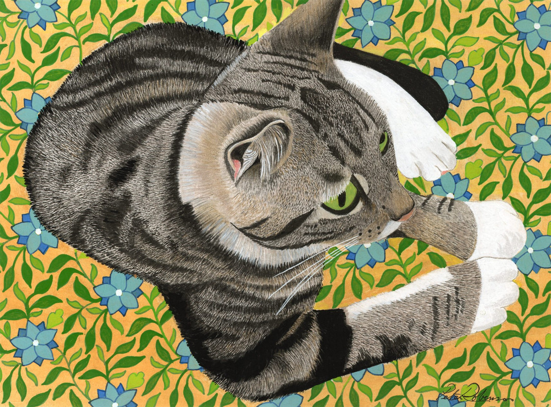 12 65570333 2428590957199658 3405862512577478656 n — Postimages