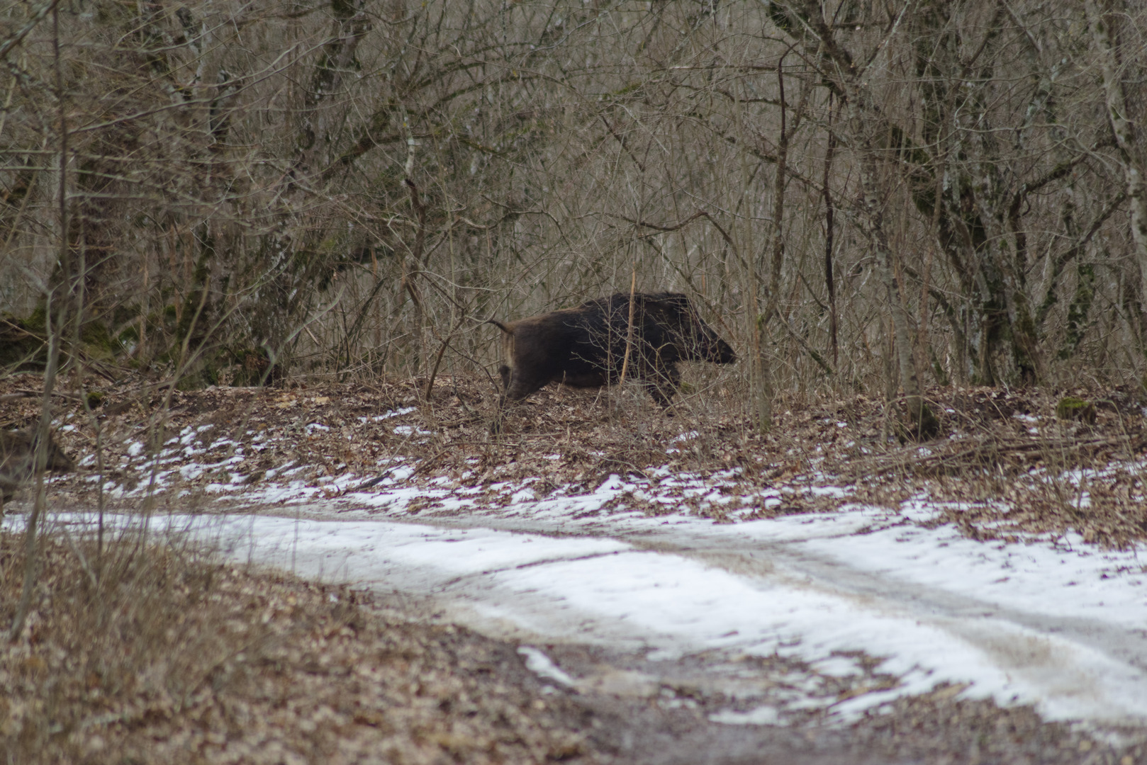 V0004940 1618 — Postimages