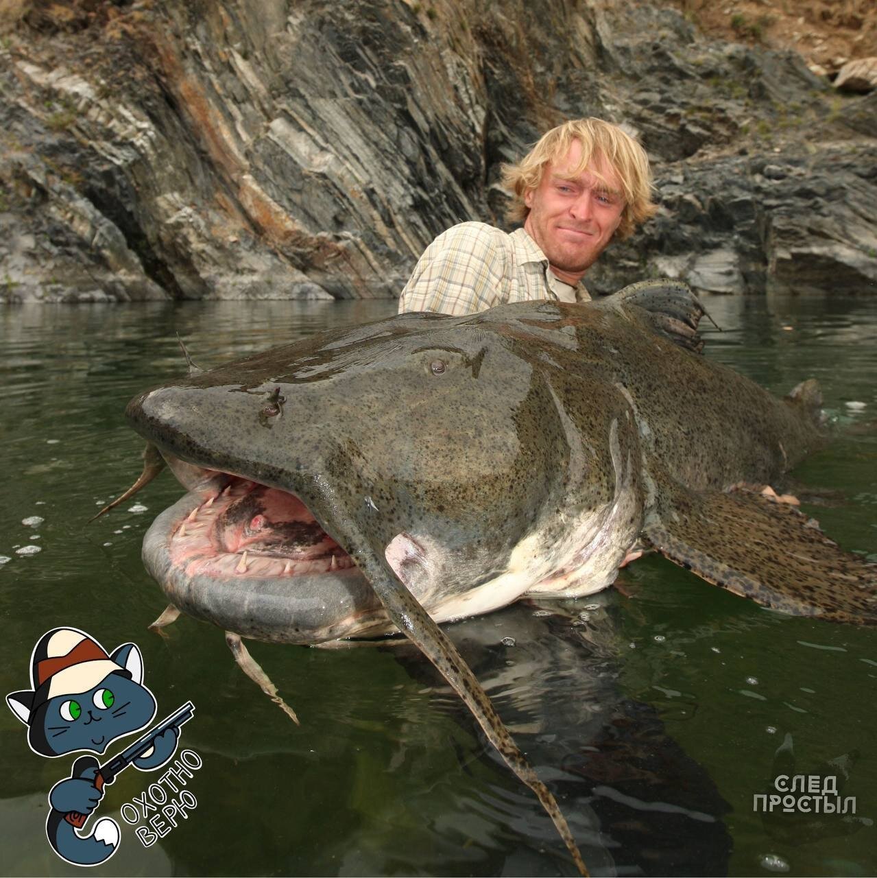 scale 2400 — Postimages