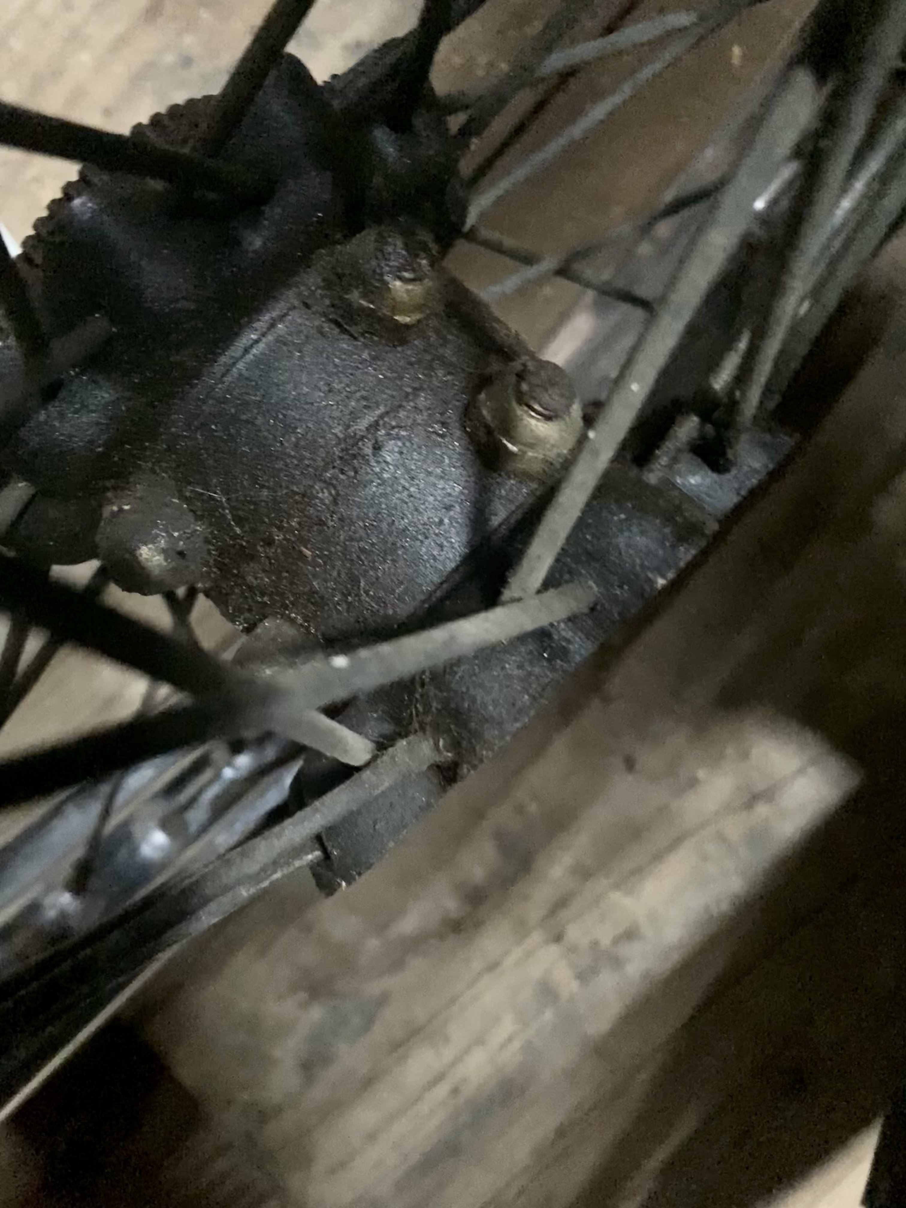 IMG 2678 — Postimages