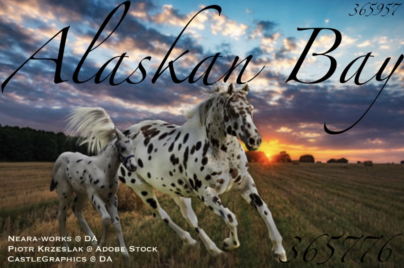 IMG 1991 — Postimages