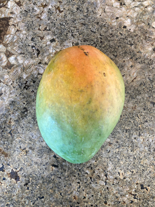 IMG 0834 — Postimages