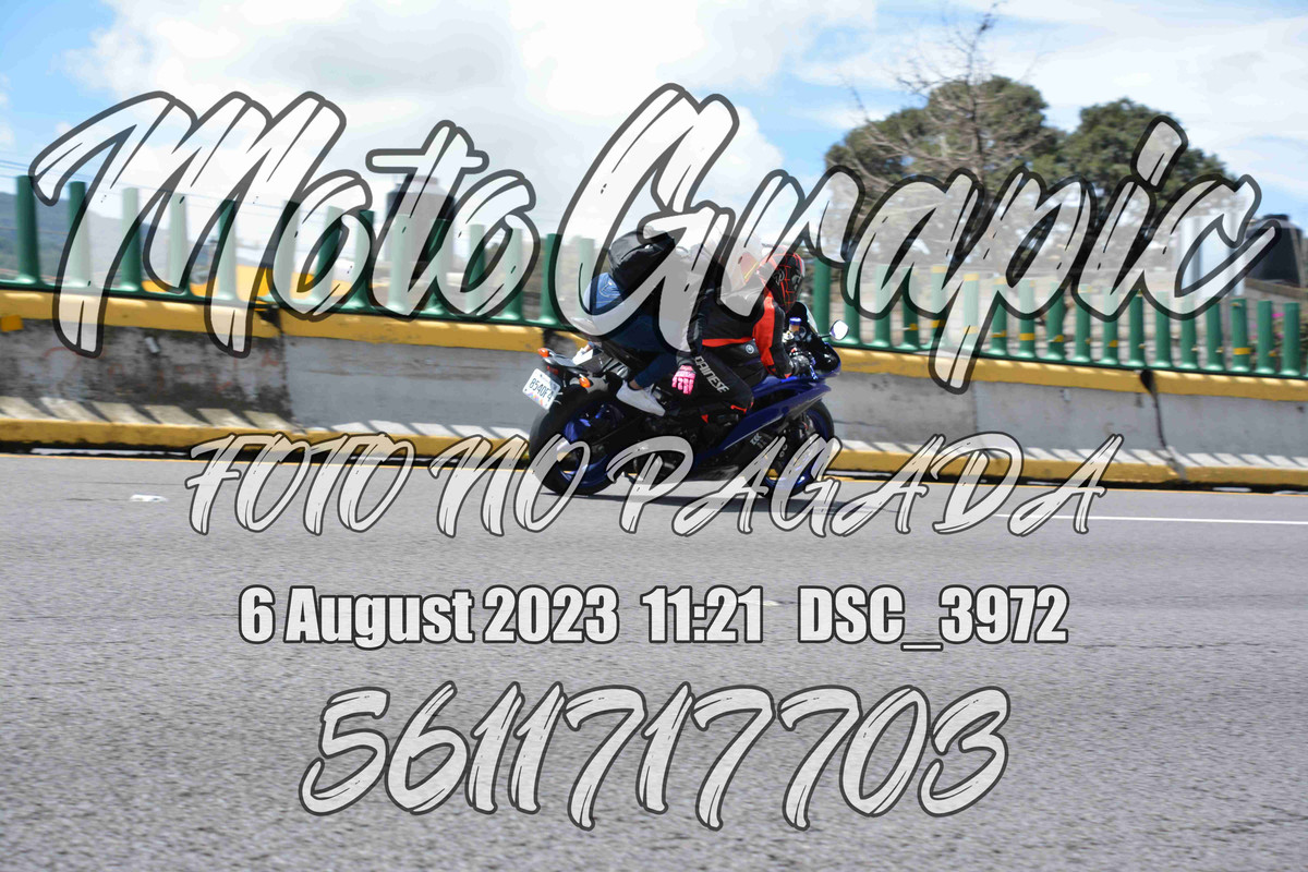 motgr DSC 3972 — Postimages