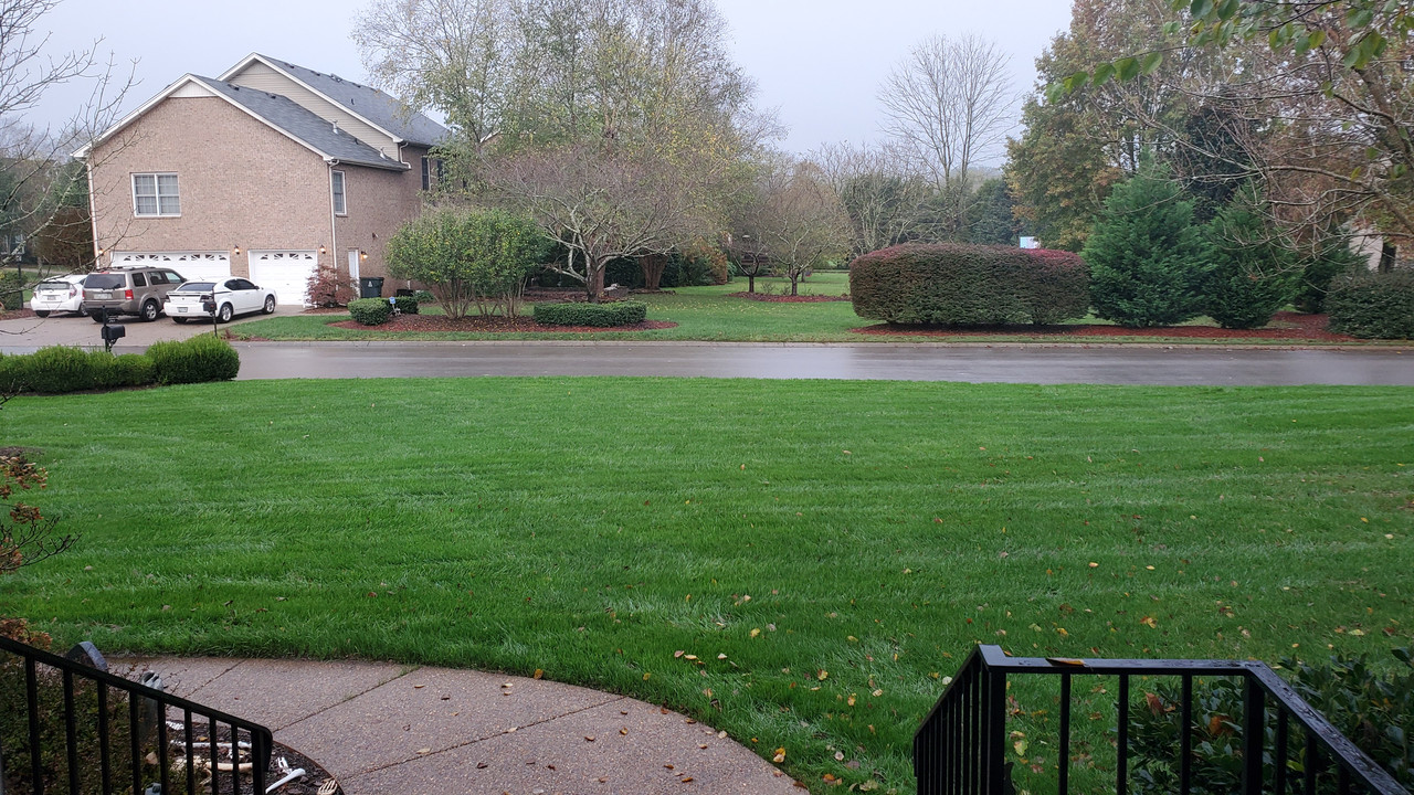 front yard 20201029 075355 — Postimages