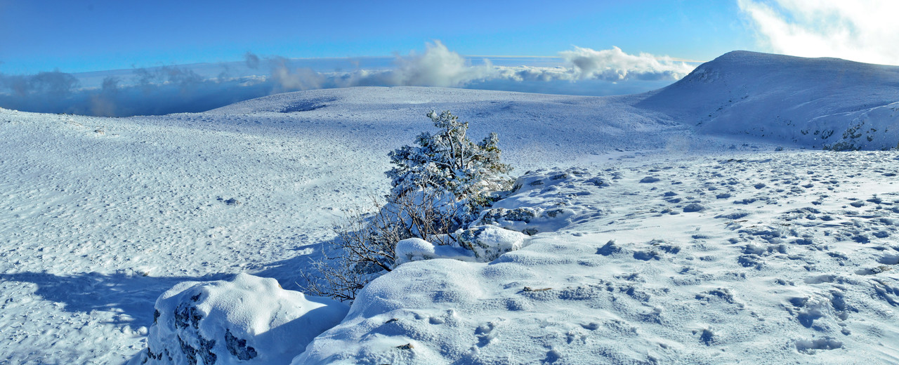 098] DSC 0791 DSC 0793 3 images — Postimages