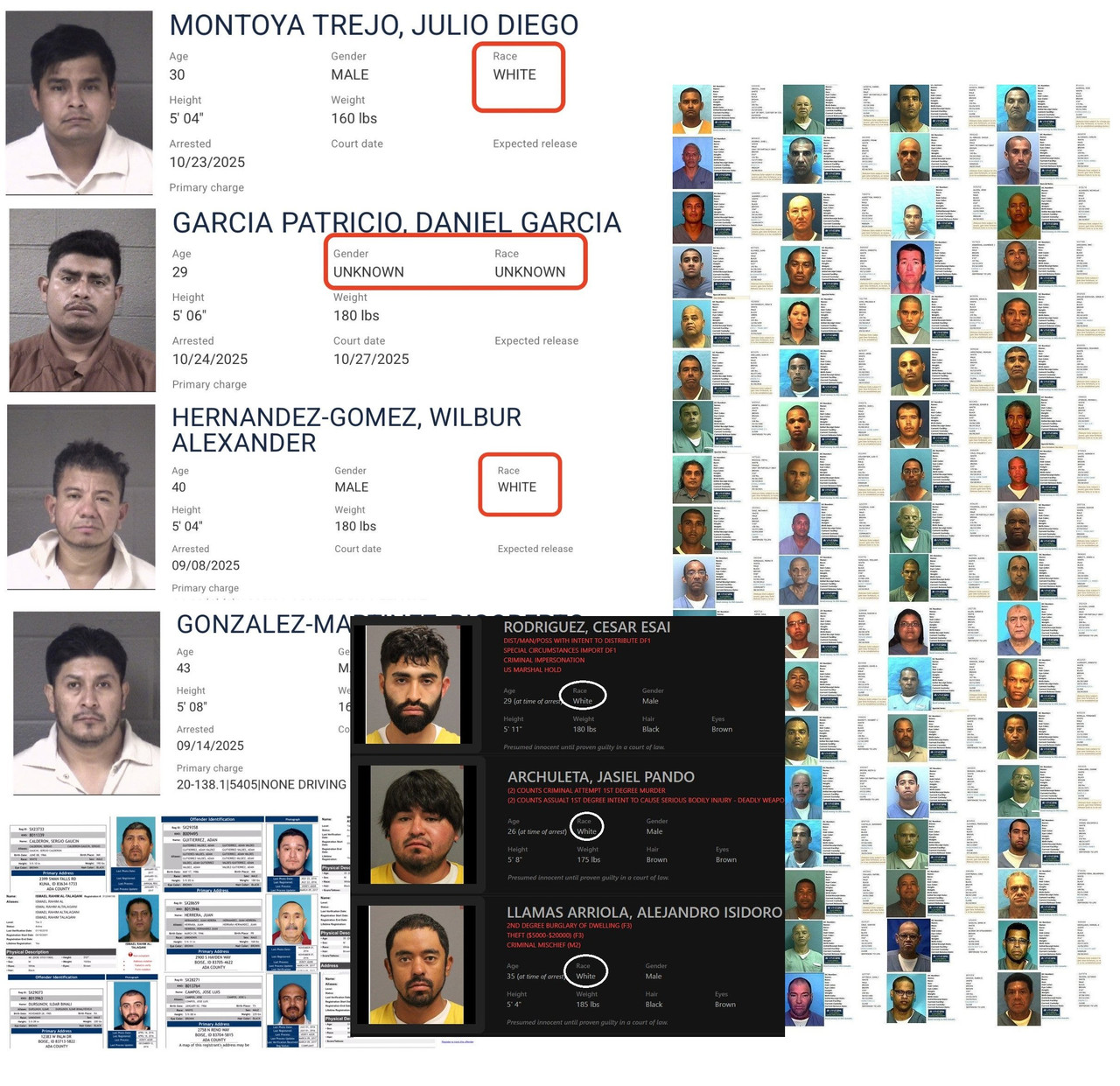 Crime - Woman in Minneapolis Executed by ICE Officers; White House ...