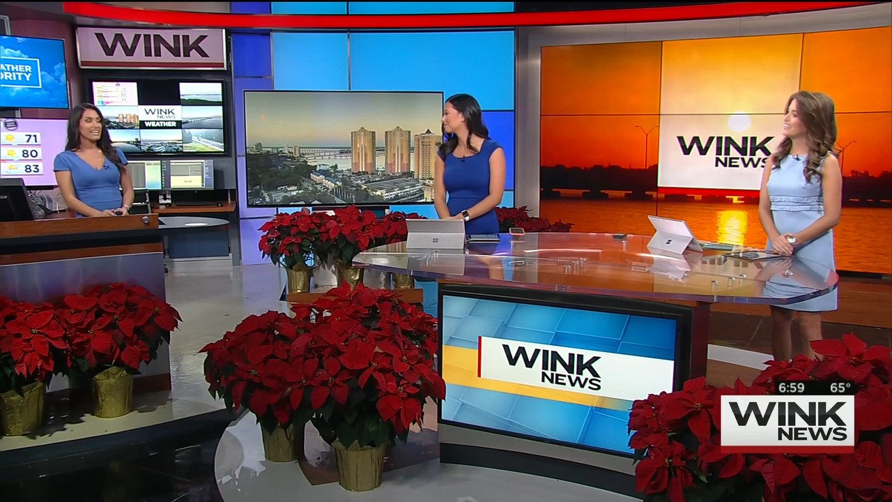 11 28 11 00 00 WINK News This Morning ts snapshot 59 50 738 — Postimages