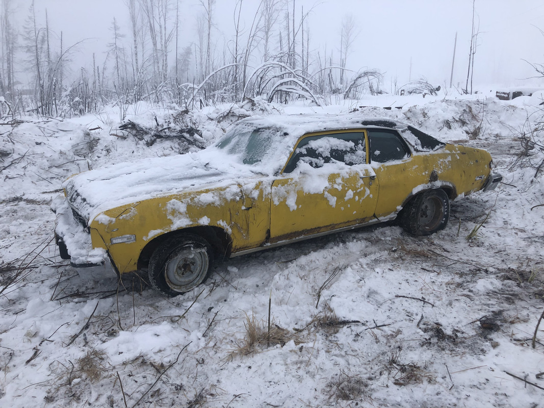 IMG 4155[1] — Postimages