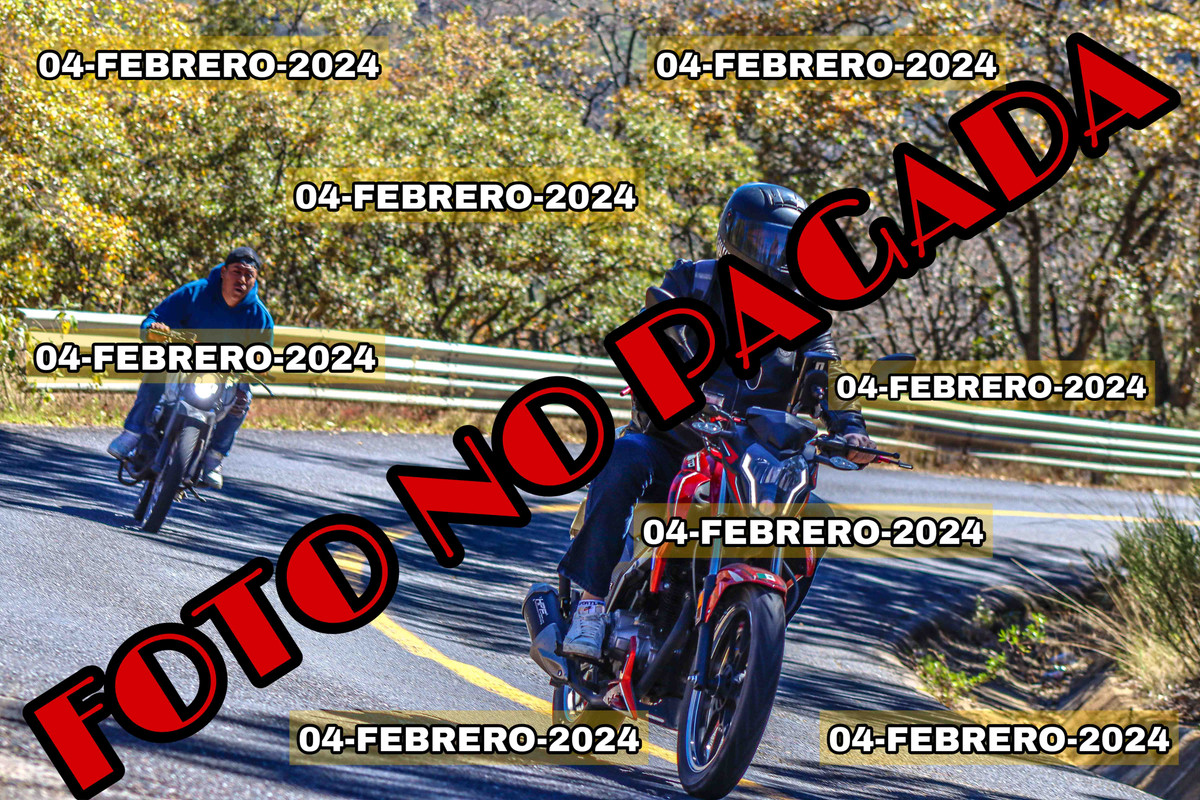 CA 1019 — Postimages