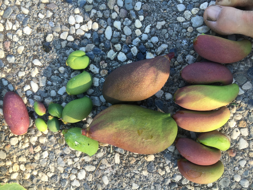 IMG 0206 — Postimages