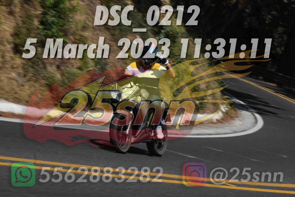 Album — Postimages