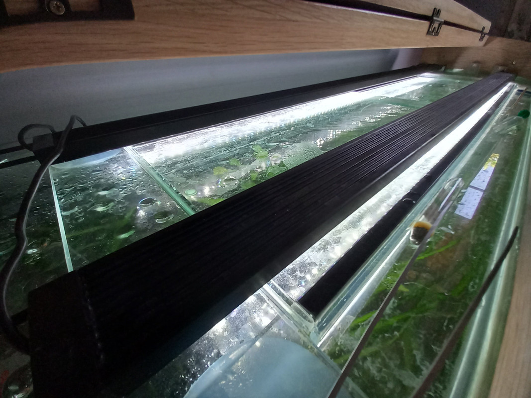 Aqua Sky lights — Postimages