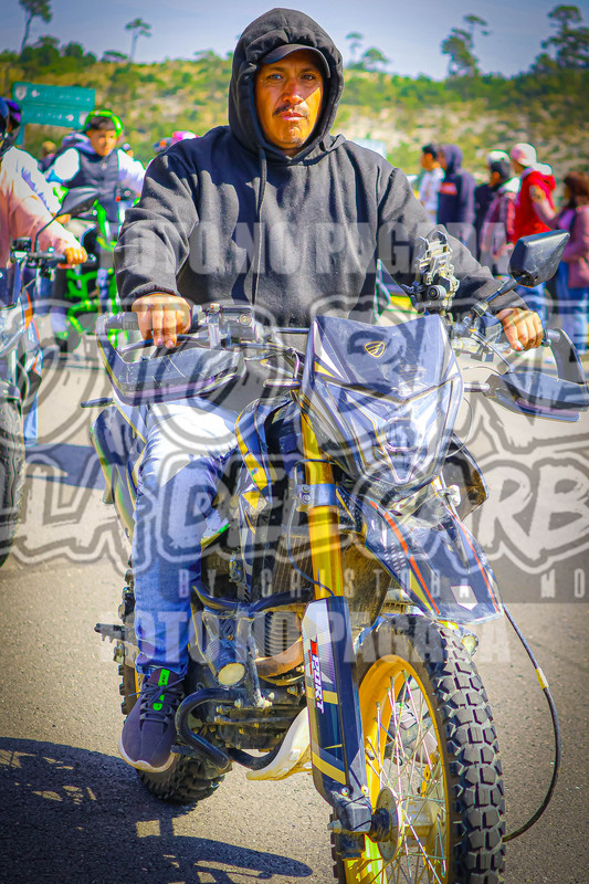 PL2 2013 — Postimages