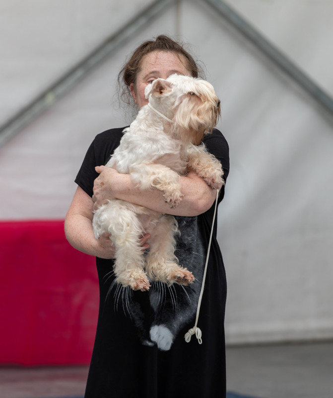 136 CR2 — Postimages