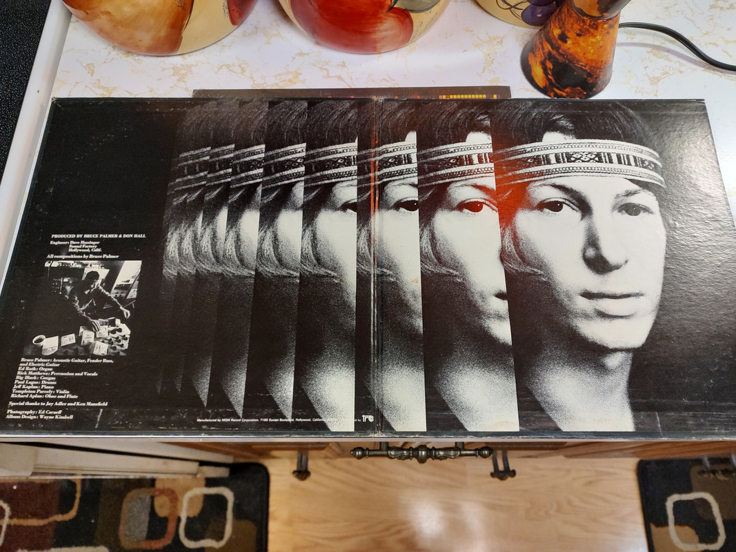 Bruce Palmer in Buffalo Springfield | Steve Hoffman Music Forums