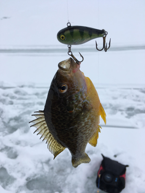 A4487 E34 B90 F 4 B70 BE56 51 A92 F20 E09 B — Postimages