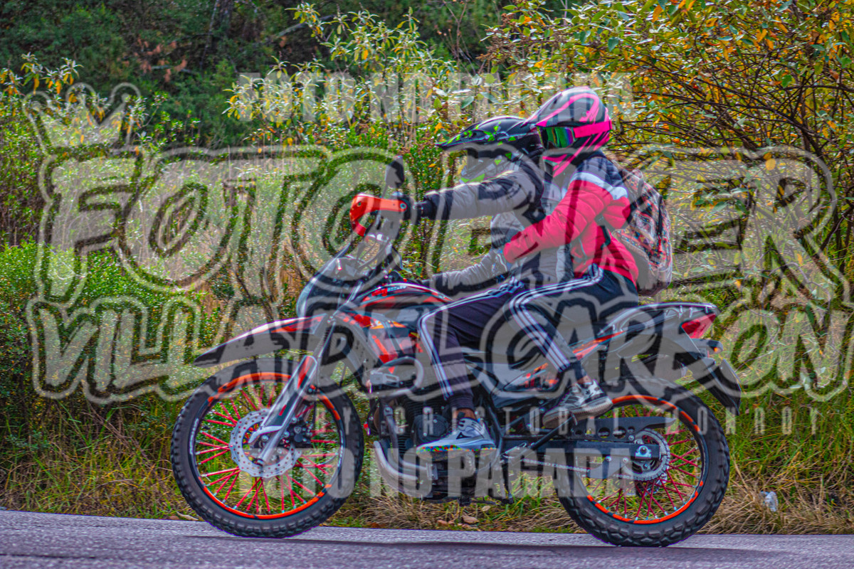 CV1 113 — Postimages