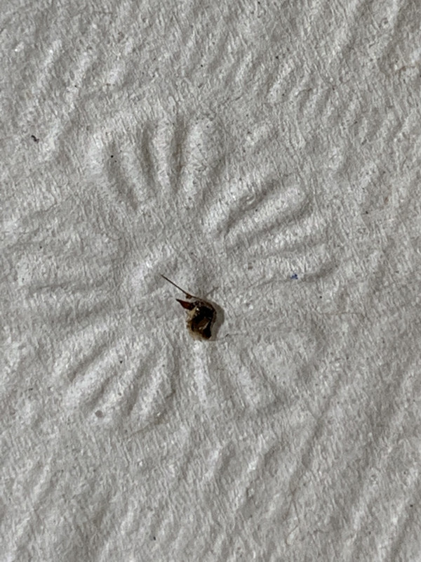 E8 D3 EBE3 2 FA6 43 F7 8519 2 AECB1875 D4 C — Postimages