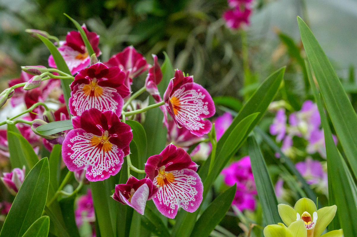 DSC 0049 — Postimages