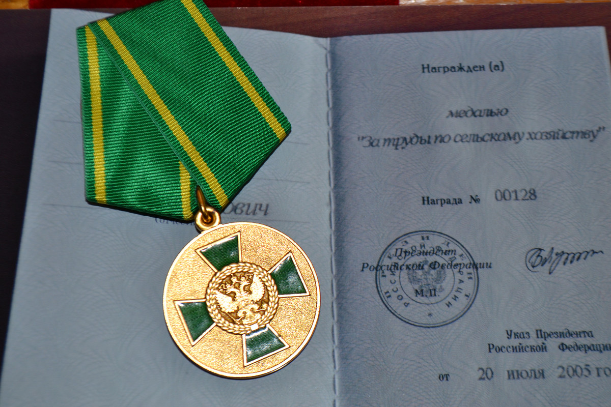 DSC 0115 — Postimages