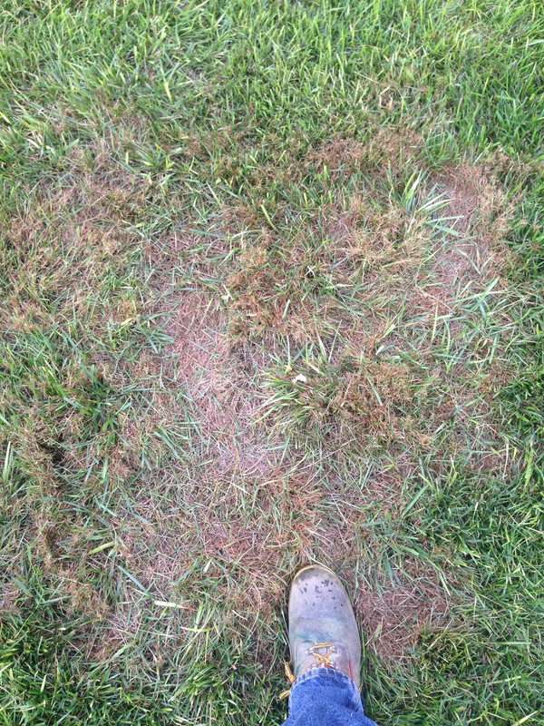 35 B32 DD4 463 D 498 C BCE1 0 DE3 D8 B2375 D — Postimages