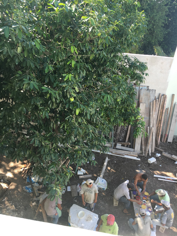 IMG 2337 — Postimages