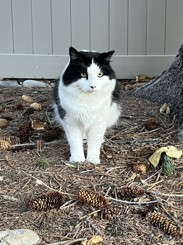 IMG 0905 — Postimages