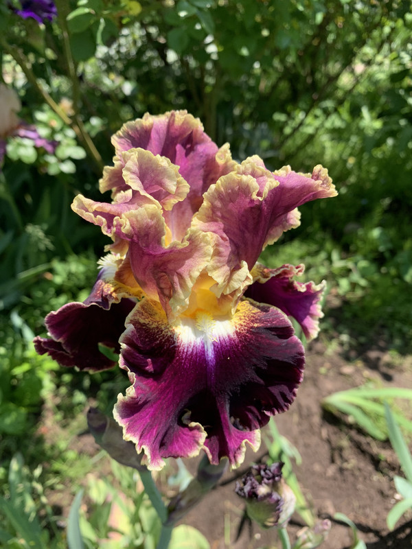 1699 A686 B956 43 E3 B8 F3 5 D070 Cb997 Ec — Postimages