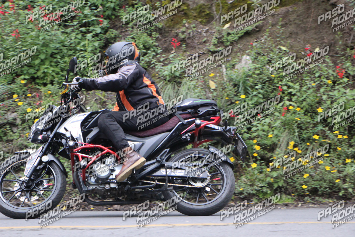 IMG 2871 wm 57186 199999999255 watermarked — Postimages