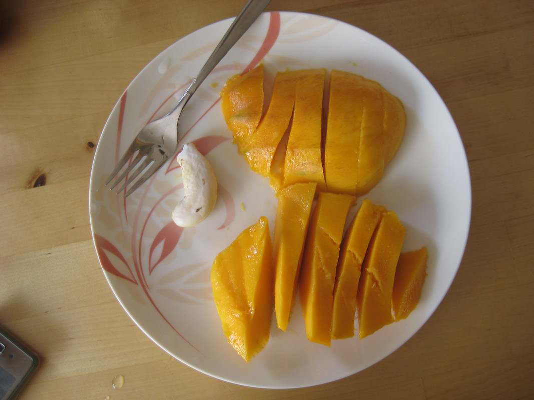 Mango cv Amelie 04 2014 IMG 1129 — Postimages