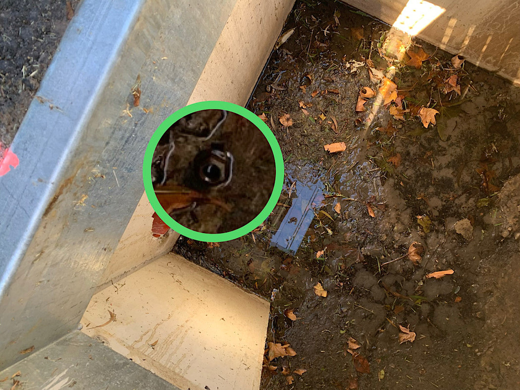 925 B26 C2 116 A 40 B0 9 D3 F AC6 F631 E9 A4 A — Postimages