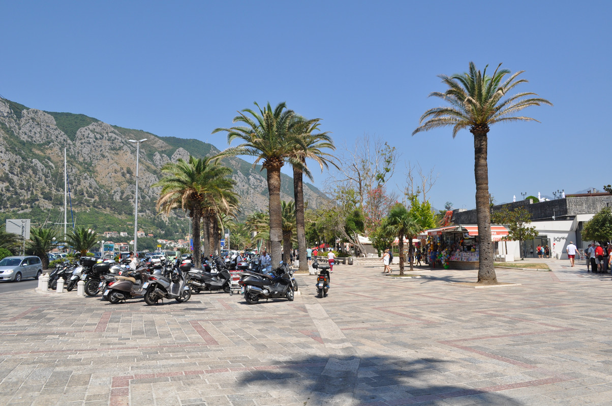 DSC 2986 — Postimages