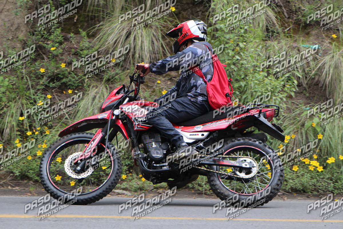 IMG 9639 wm 3138420 8 watermarked — Postimages