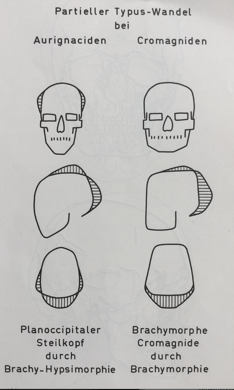 Gerhardt 1976 — Postimages