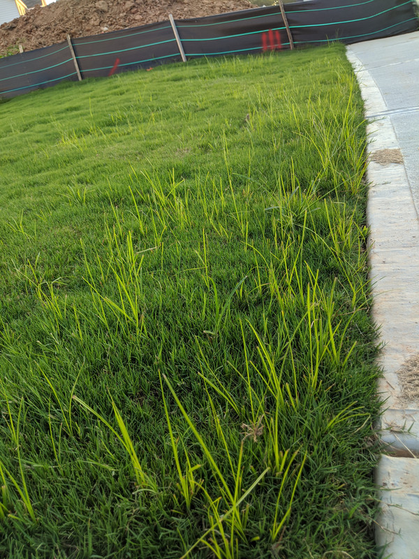 Weed2 — Postimages