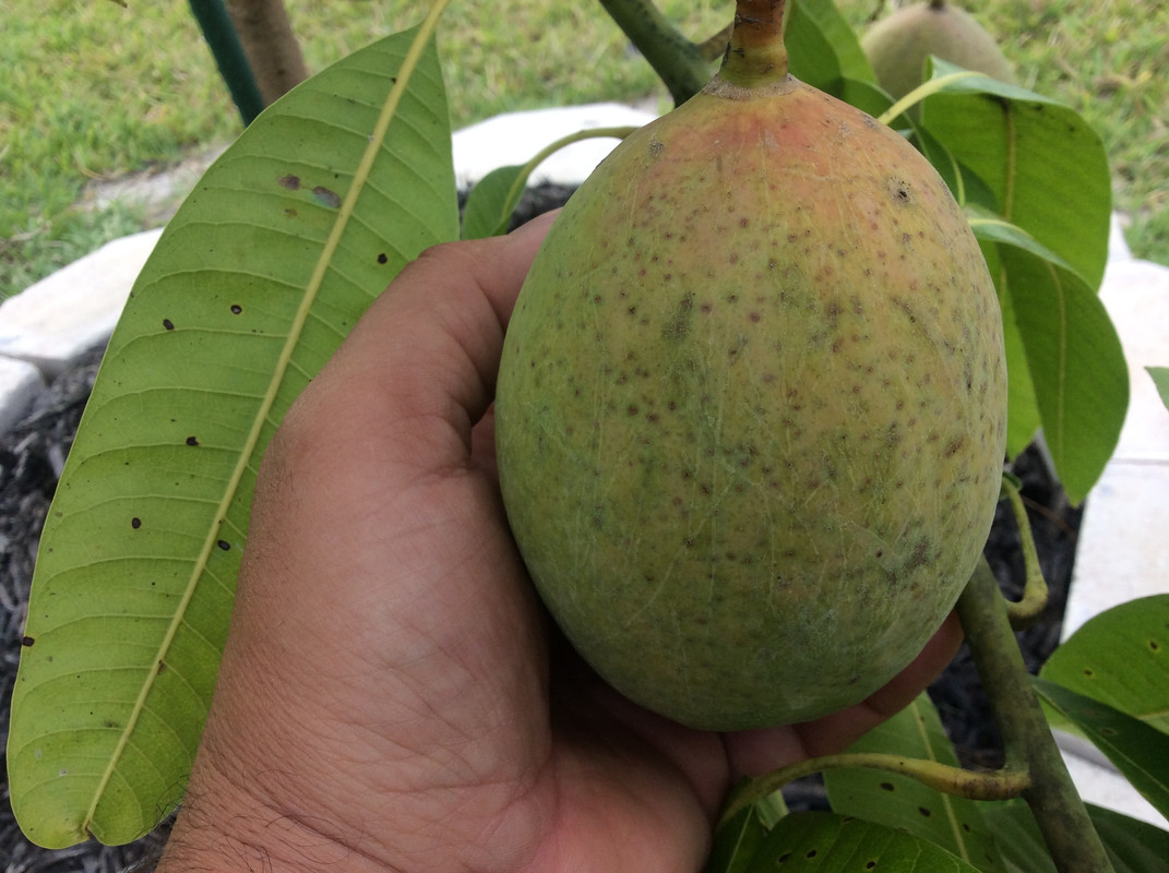 IMG 1905 — Postimages